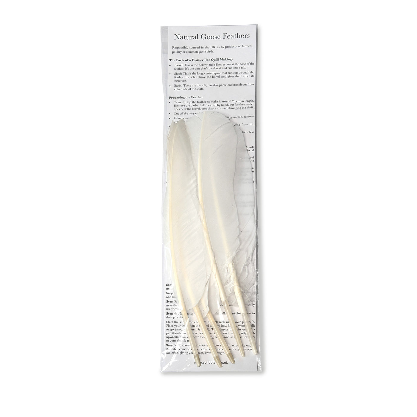 Goose Feathers (Pack of 5) | Scribblers Calligraphy Supplies