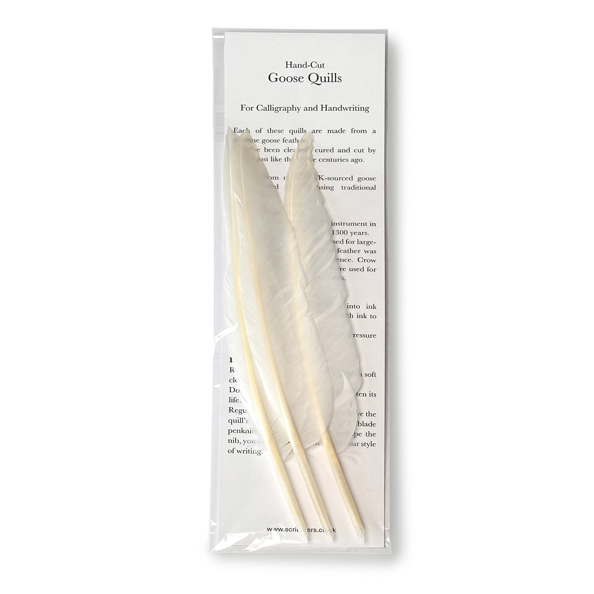 Hand-Cut Goose Quills for Writing (Pack of 3) | Scribblers Calligraphy ...